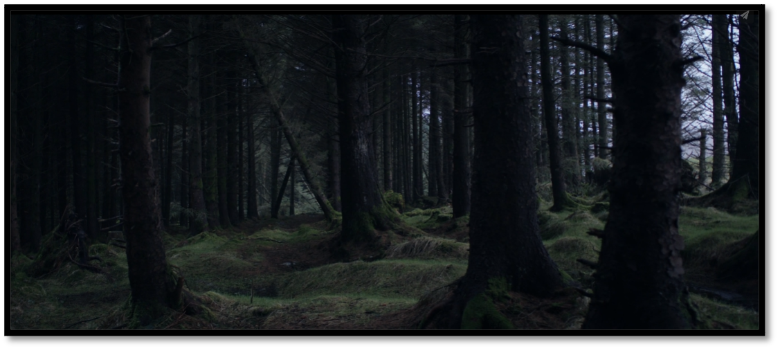 Tessa Richtsfeld – In the Space Between Ages Review – Film reviews for ...